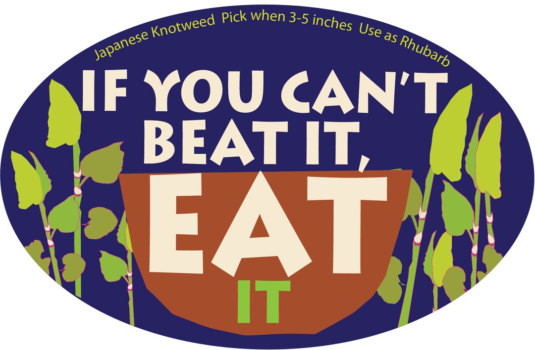 Knotweed Invasives Bumper Sticker - Etsy