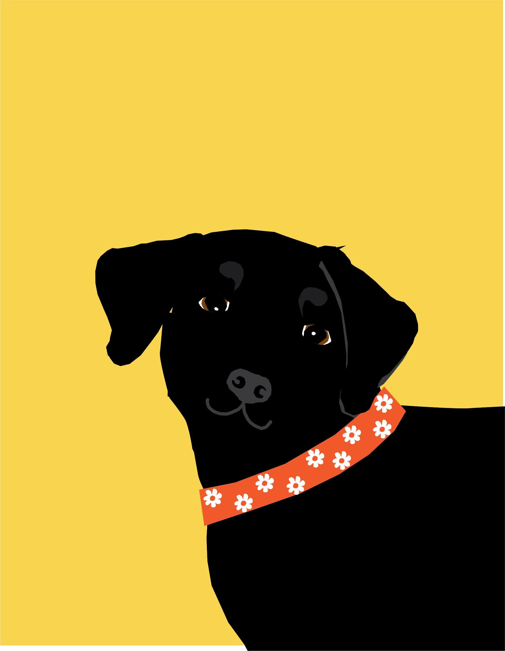 Custom Black Lab Prints Illustrations Matted in 11 X 14 Inch White Mats ...