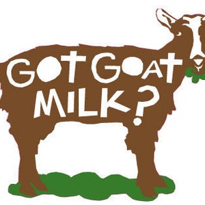 Got Goat Miik? Bumper Sticker Brown & White Goat Die Cut Decal - Etsy