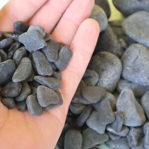 Rare Black Sea Glass (pirate Glass) – St. Croix Caribbean Beach Glass ...