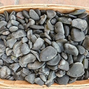 Rare Black Sea Glass (pirate Glass) – St. Croix Caribbean Beach Glass ...