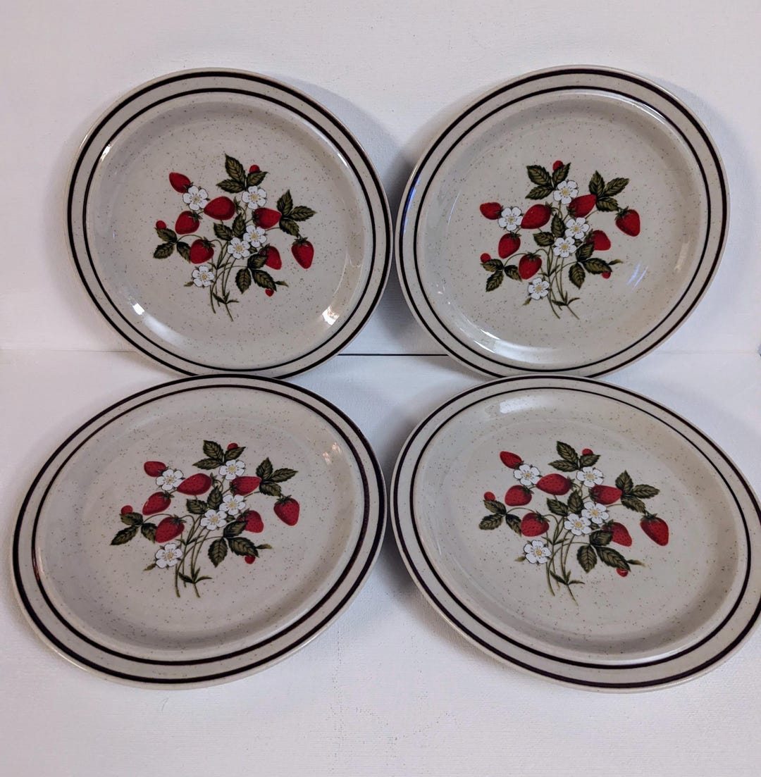 Newcor Regency Set of 4 Dessert Plates - Etsy