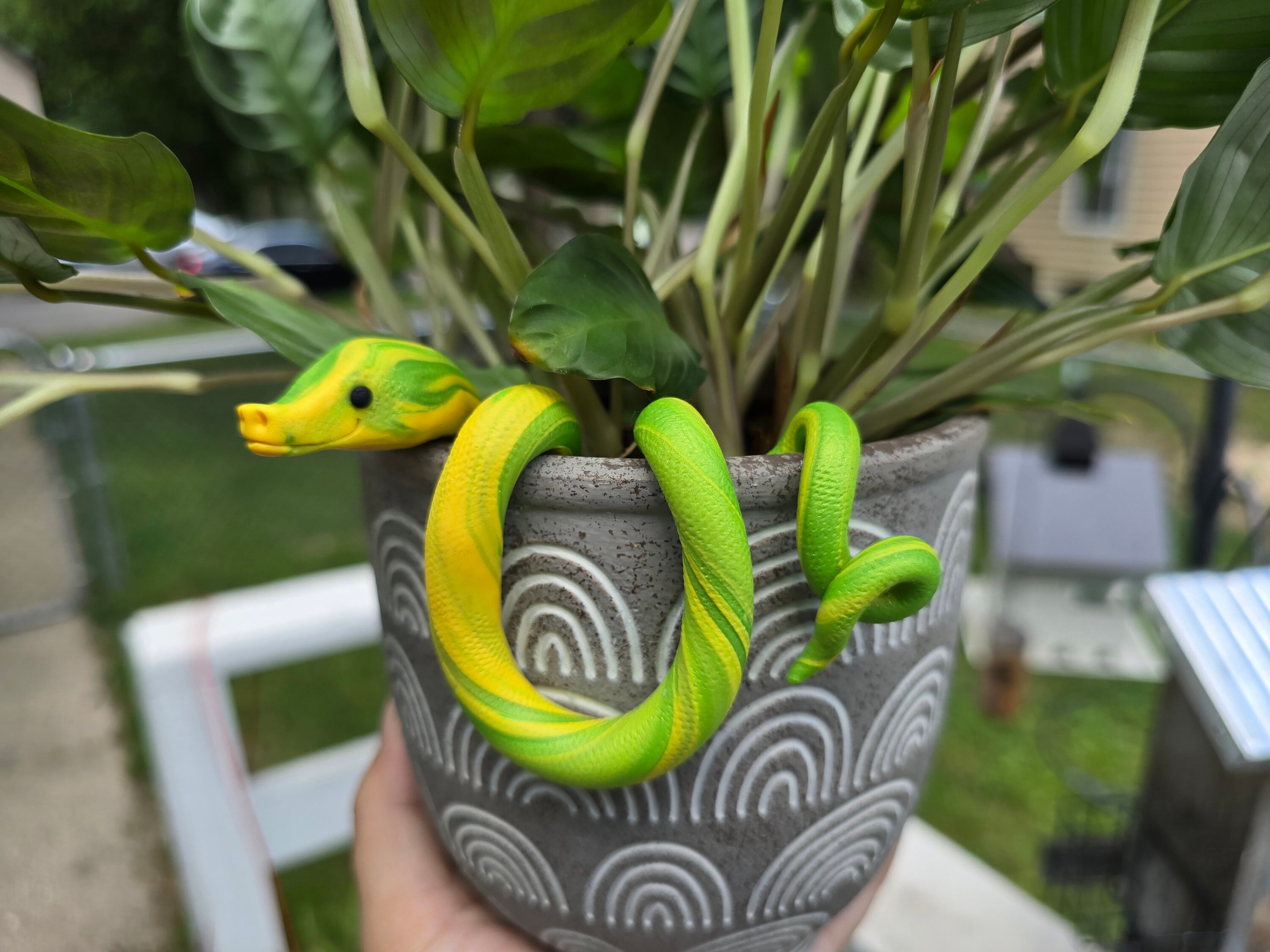 Colorful Snake Plant Pot Hangers - Etsy
