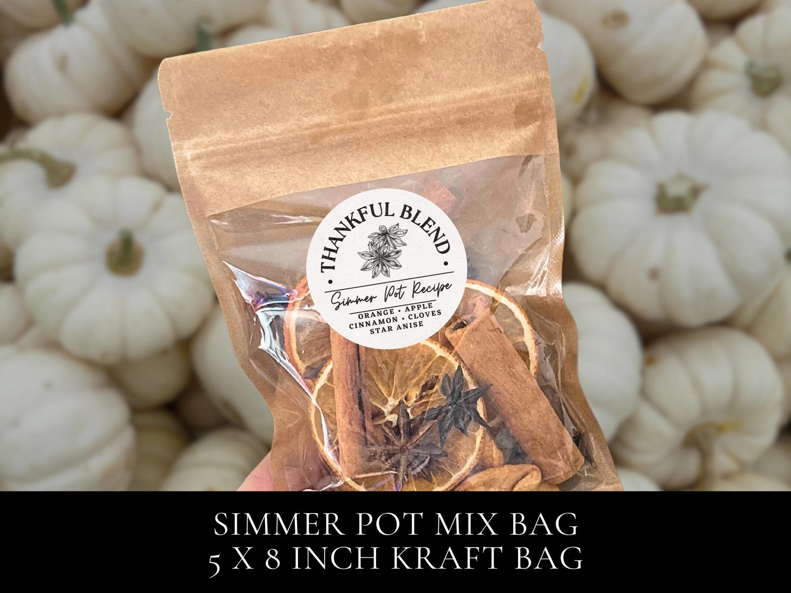 Fall Simmer Pot Recipe Mix Kit Thankful Simmering Seasonal Spices Bulk ...