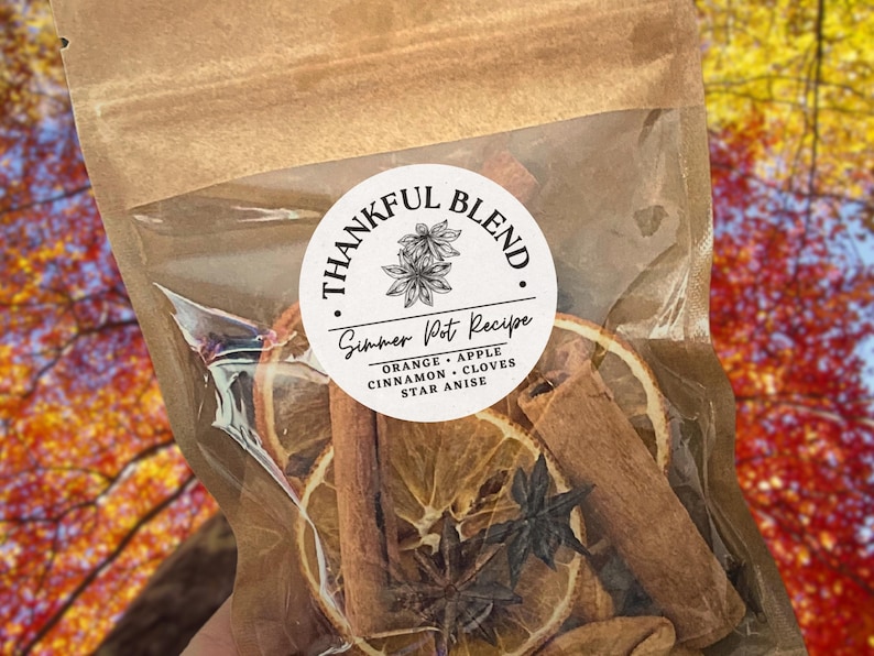 Fall Simmer Pot Recipe Mix Kit Thankful Simmering Seasonal Spices Bulk ...