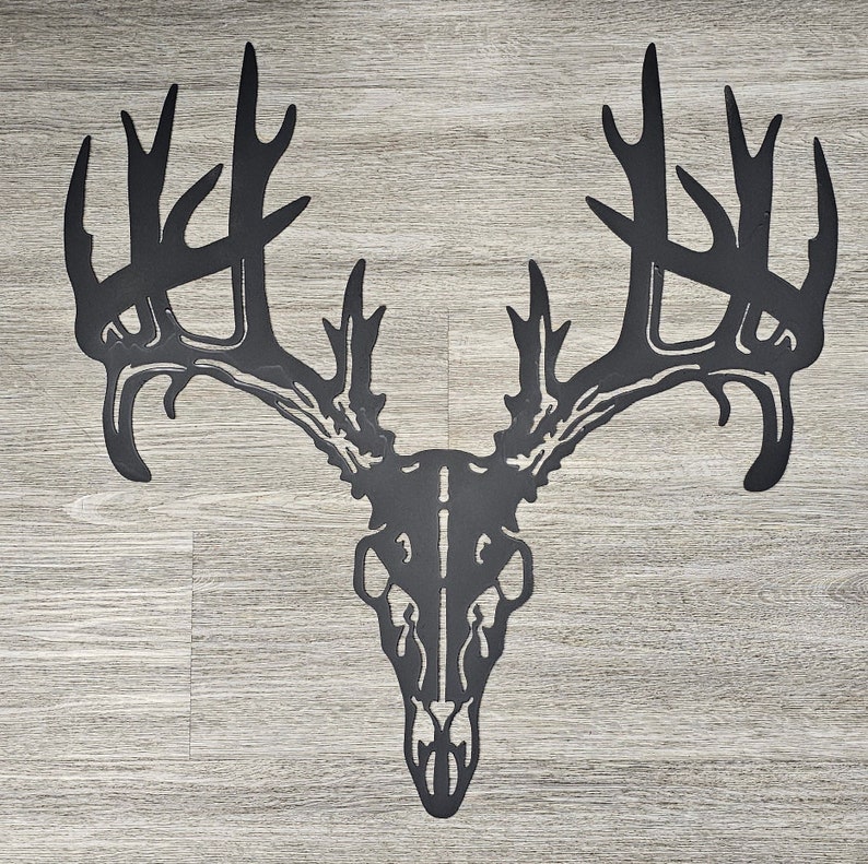 Deer Skull and Antlers - Etsy