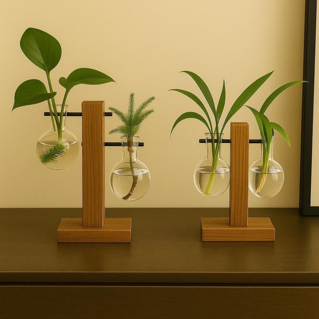 Hydroponic Glass Vases in Wooden Holder – Unique Indoor Plant Vase for ...