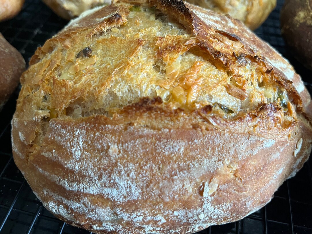 Sourdough Roasted Serrano Pepper and Cheese Boule, Med 20 Oz Loaf ...