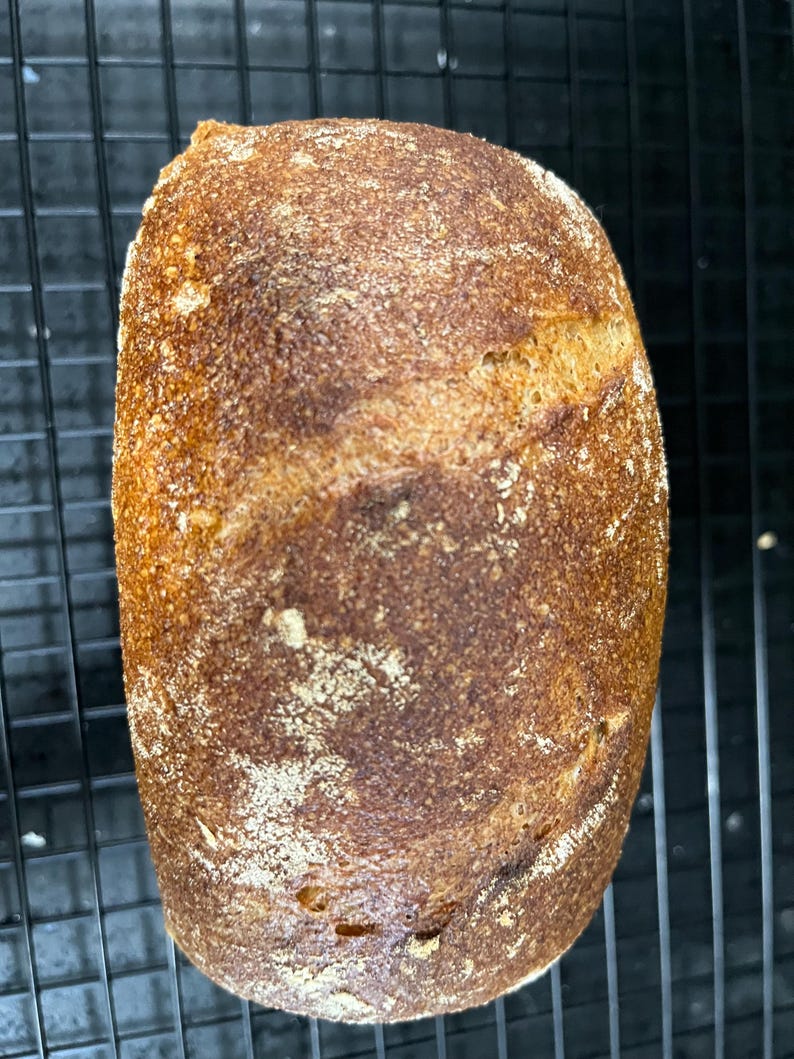 Mini Einkorn Long Fermentation Sourdough Bread, Artisan 1/2 Lb Loaf ...