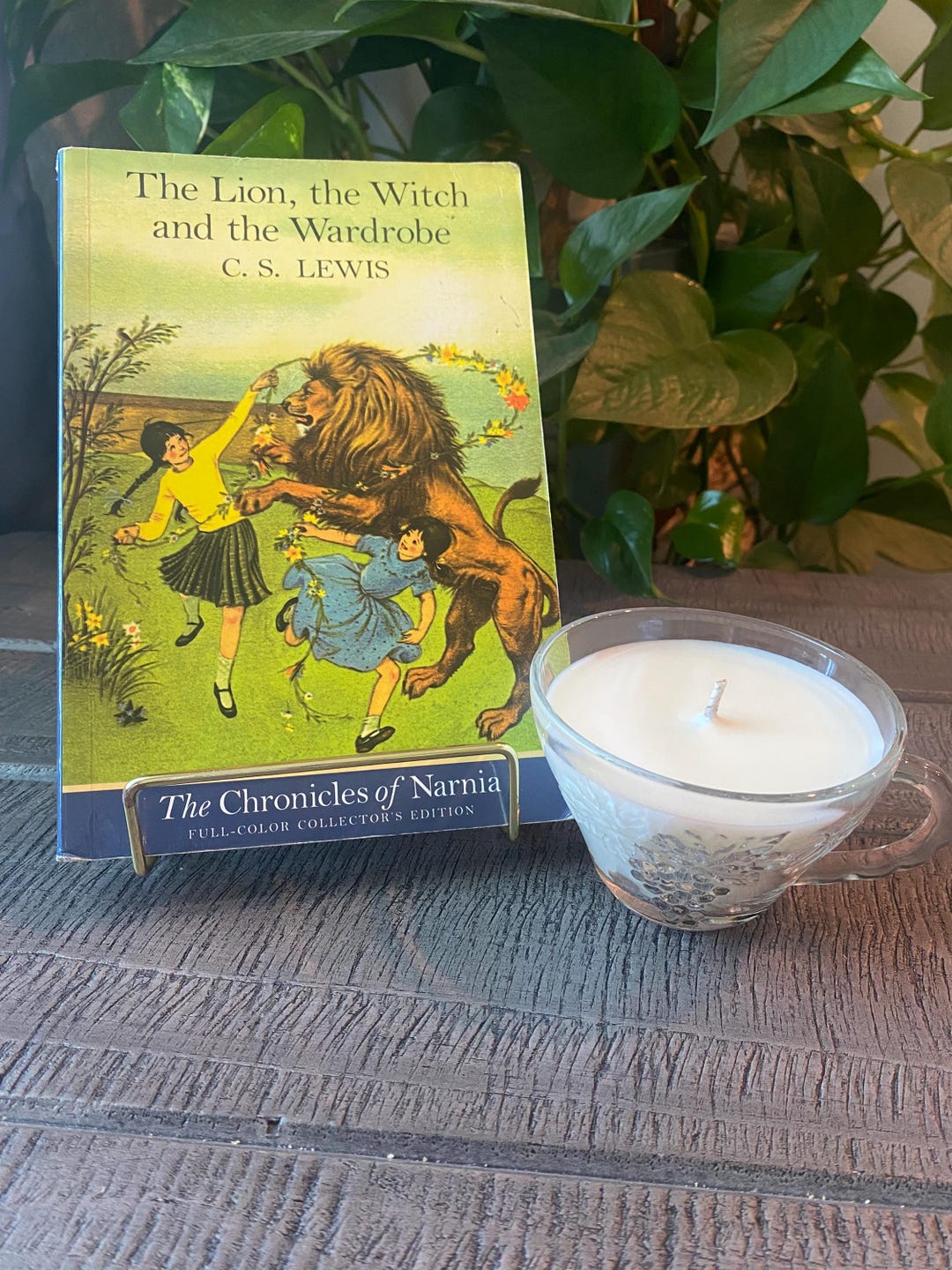 Chronicles of Narnia Candle, Vintage Grapevine Candle, Glass Teacup ...