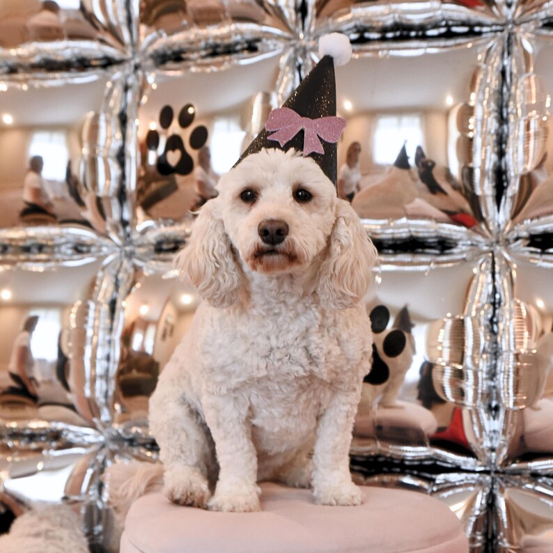 Dog Birthday Decorations Balloon Wall Backdrop Setup for Puppy Party ...