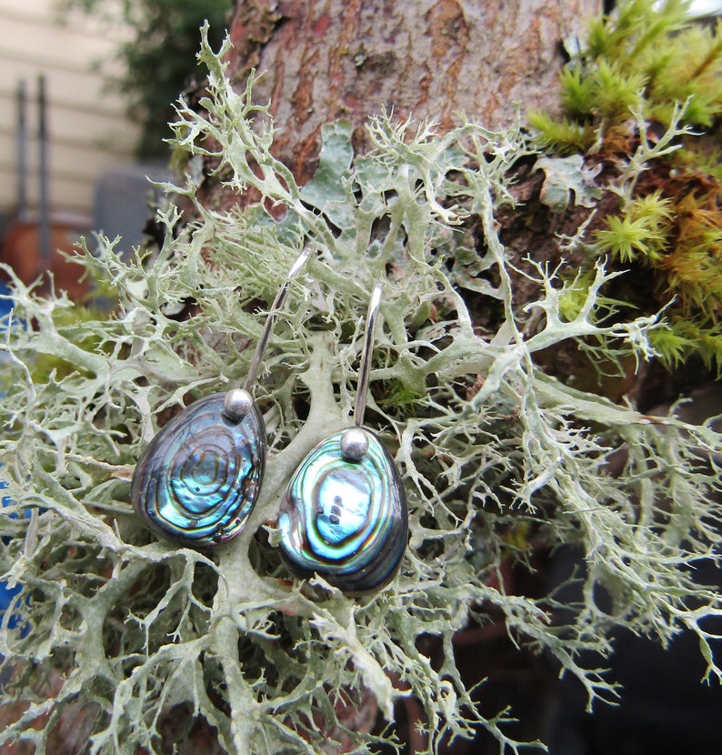 Abalone Shell / Paua Shell Sterling Silver Hook Style | Etsy