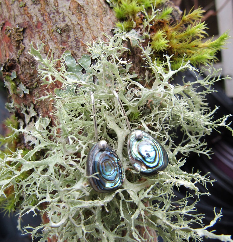 Abalone Shell / Paua Shell Sterling Silver Hook Style | Etsy