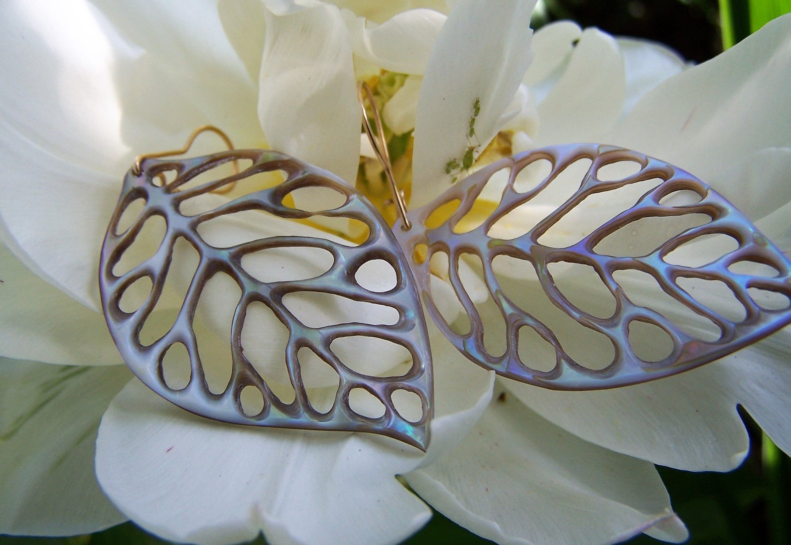 Carved Iridescent Oyster Shell 14K Solid Gold Earwire | Etsy