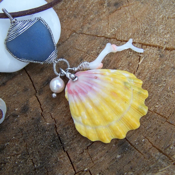 Rare Sunrise Shell - Etsy