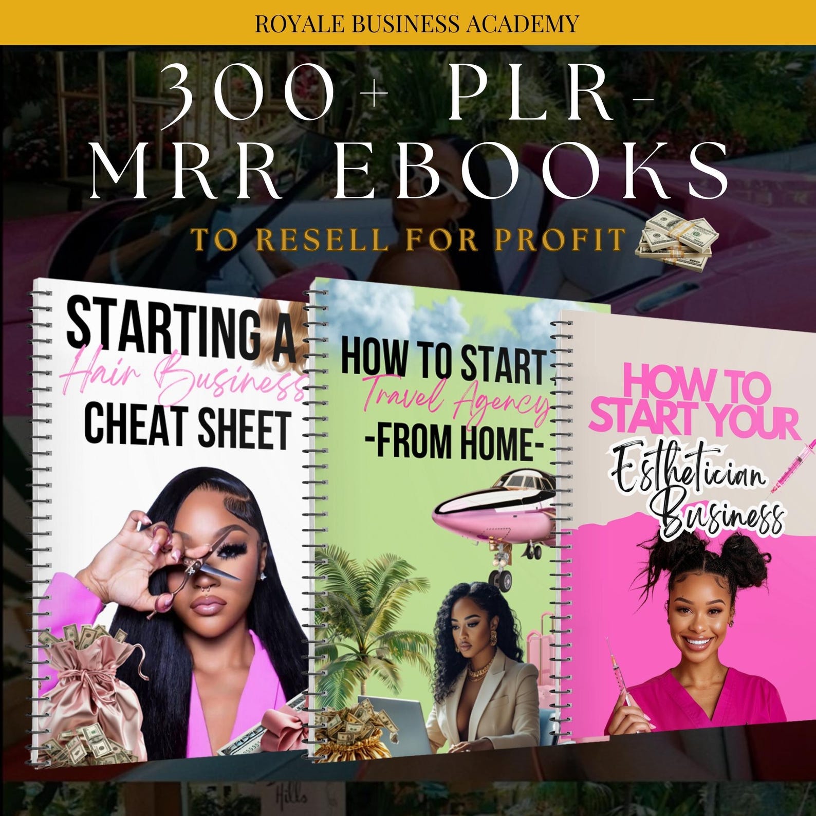 Royale Business Academy MRR Course | Digital Marketing Academy | MRR ...