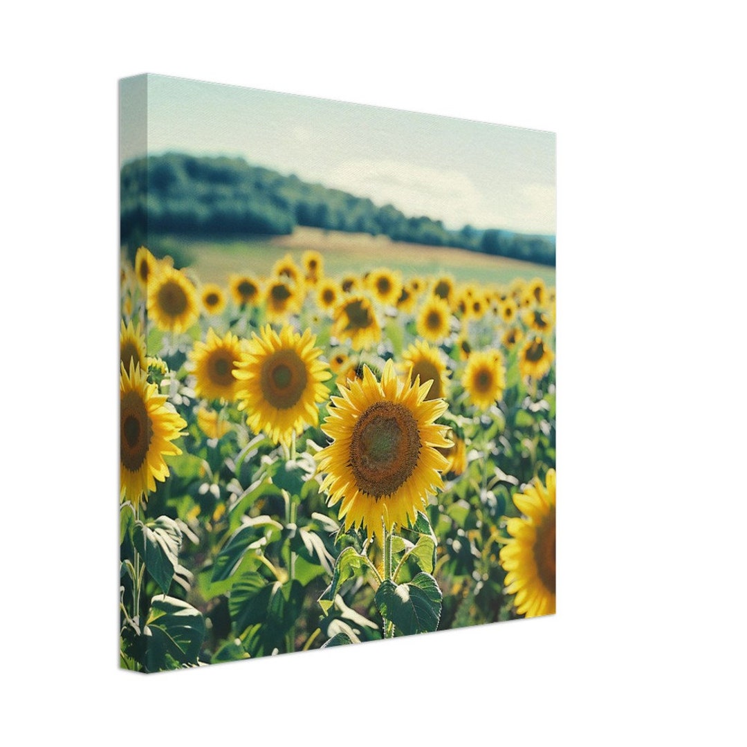 Sunflower Field Canvas - Etsy