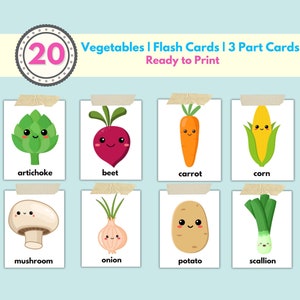 20 Vegetables, Flash Cards, Flashcards, 3 Part Cards, Three Part Cards ...