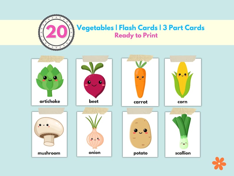 20 Vegetables, Flash Cards, Flashcards, 3 Part Cards, Three Part Cards ...