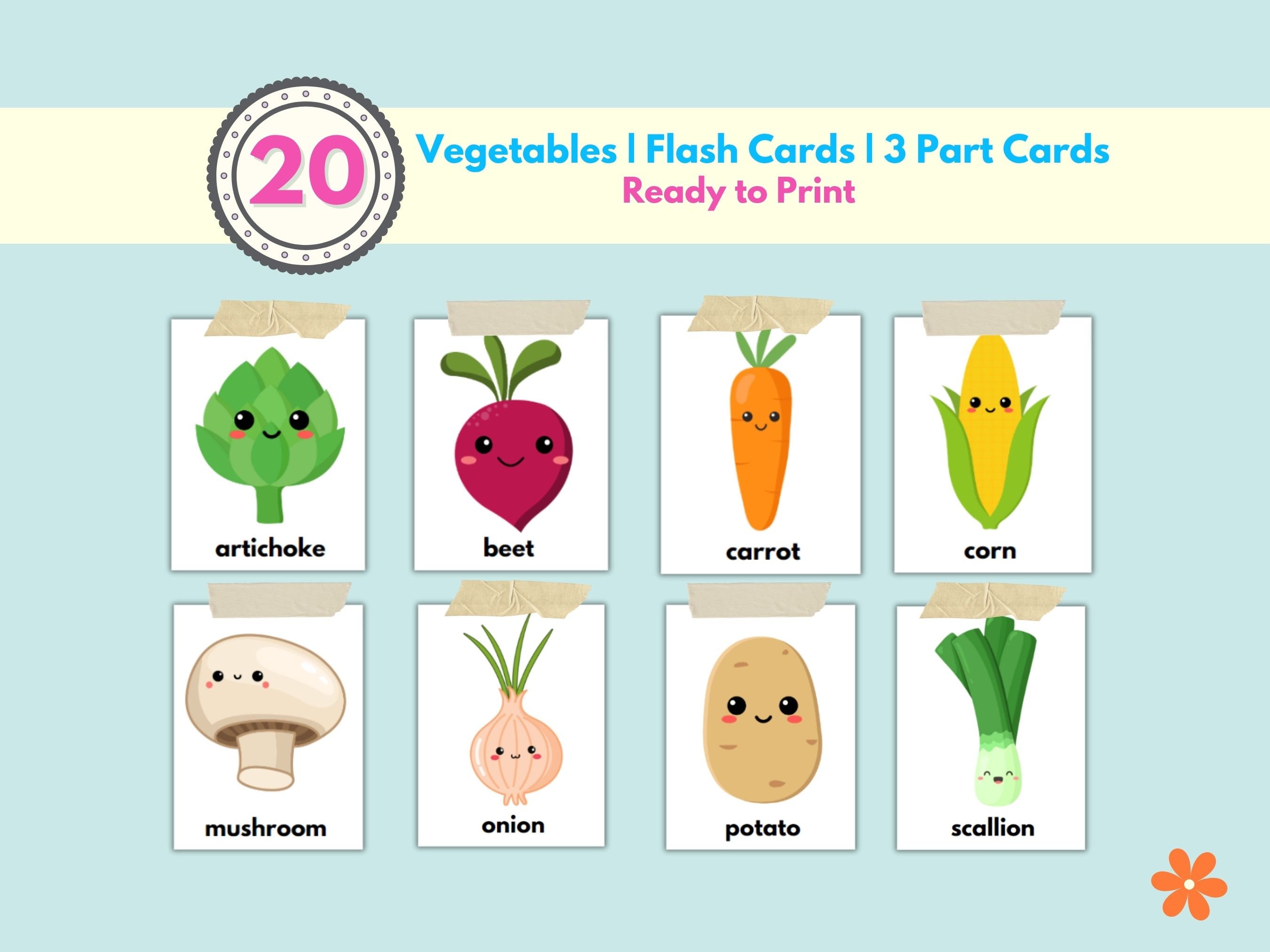 20 Vegetables, Flash Cards, Flashcards, 3 Part Cards, Three Part Cards ...