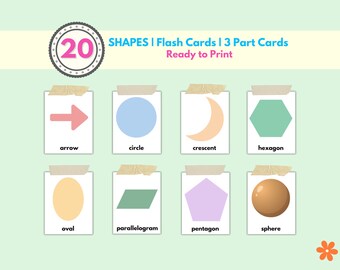 20 Vegetables, Flash Cards, Flashcards, 3 Part Cards, Three Part Cards ...