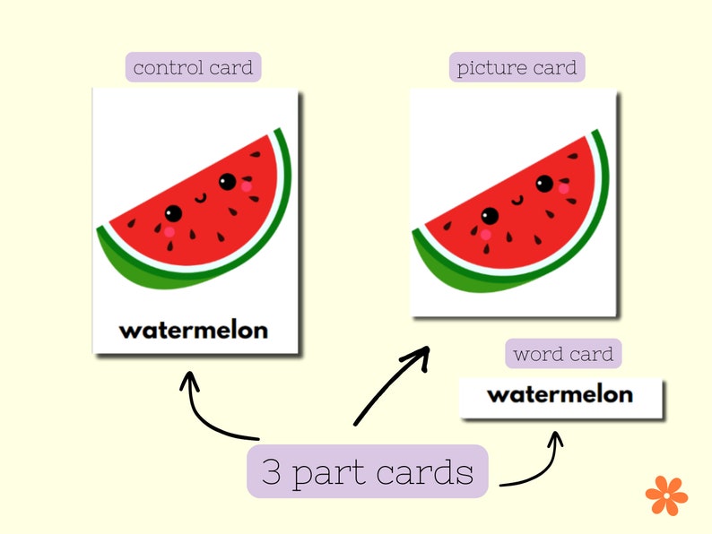 20 Fruits, Flash Cards, Flashcards, 3 Part Cards, Three Part Cards ...