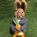 Peter Rabbit Ornament or Sculpture Felted - Etsy