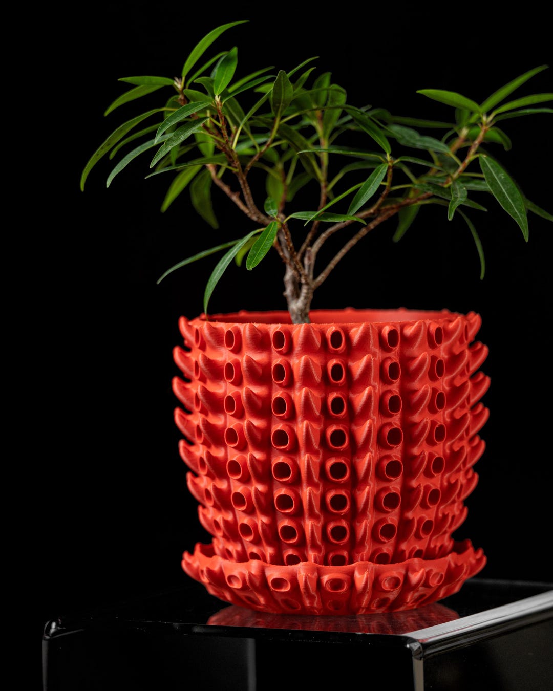 The Barnacle Planter Pot With Drainage Tray | Modern and Unique Indoor ...