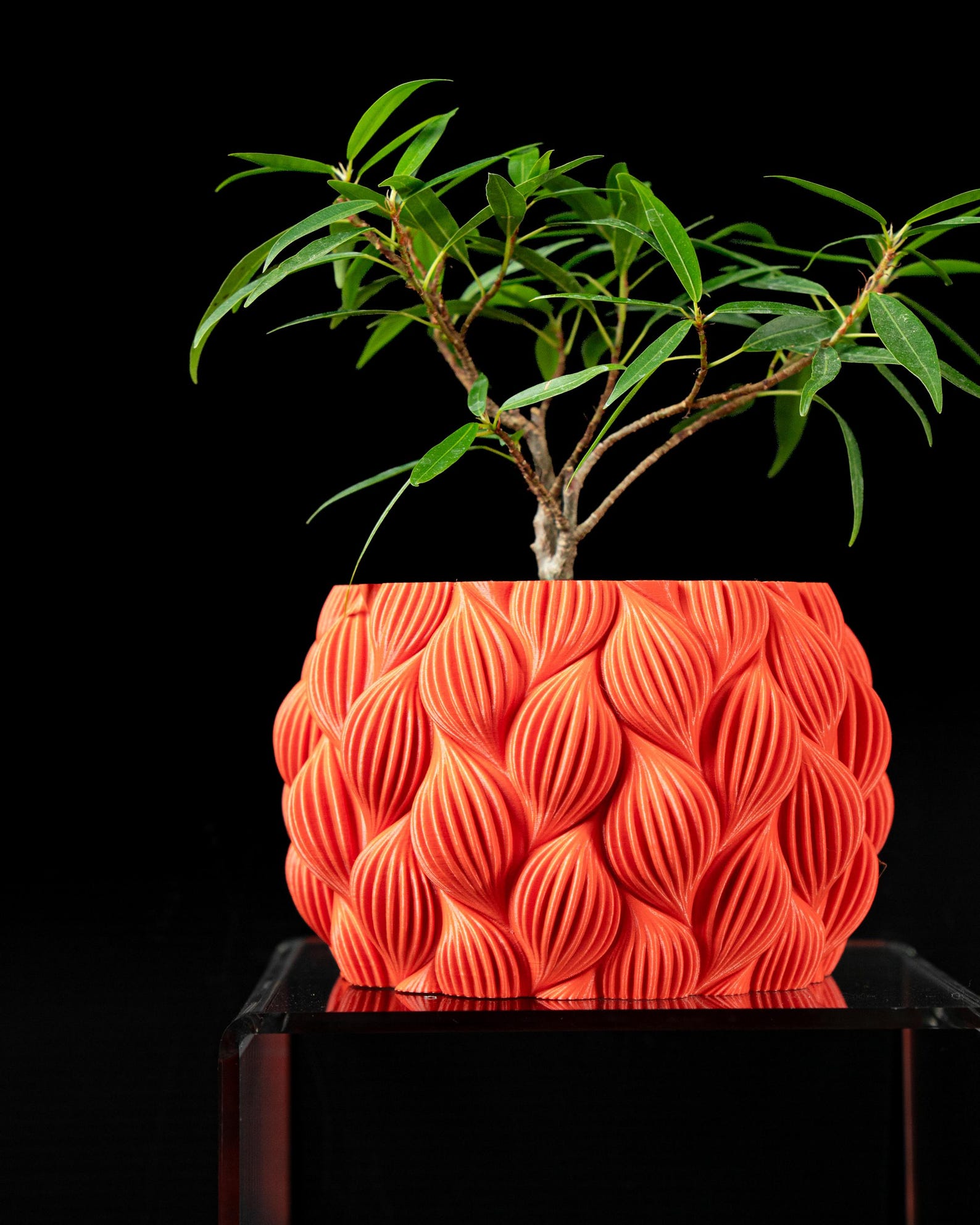 The Ripple Planter Pot With Drainage Tray | Modern and Unique Indoor ...