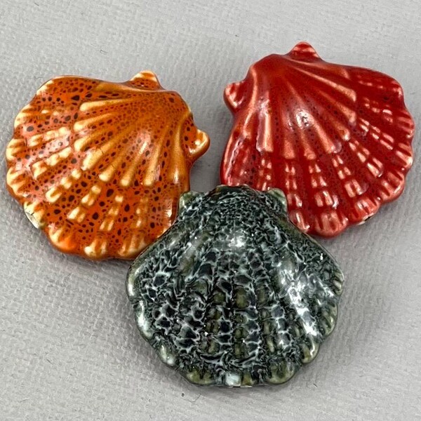 Large Shell Beads - Etsy