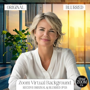 Zoom Background Professional Zoom Background Corporate Office Building ...