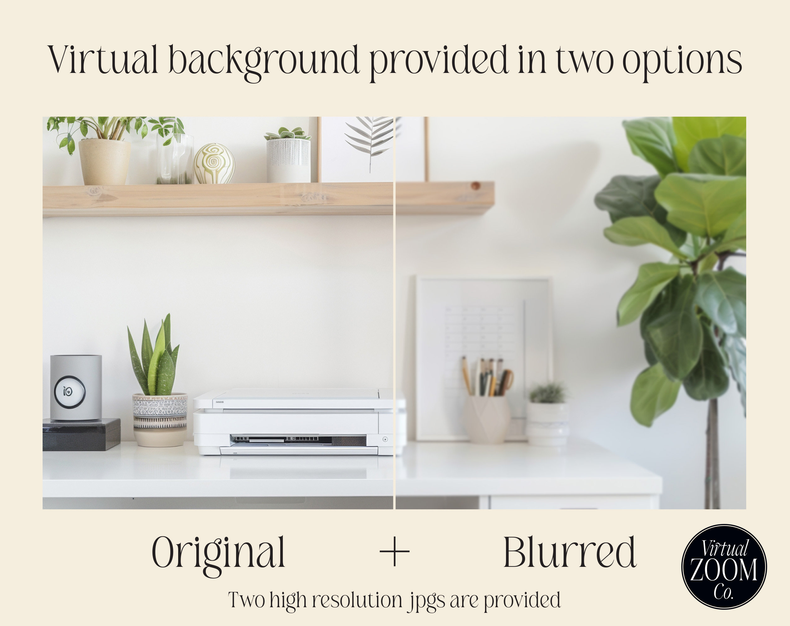 Zoom Background, Home Office With Plants, Professional Zoom Background ...