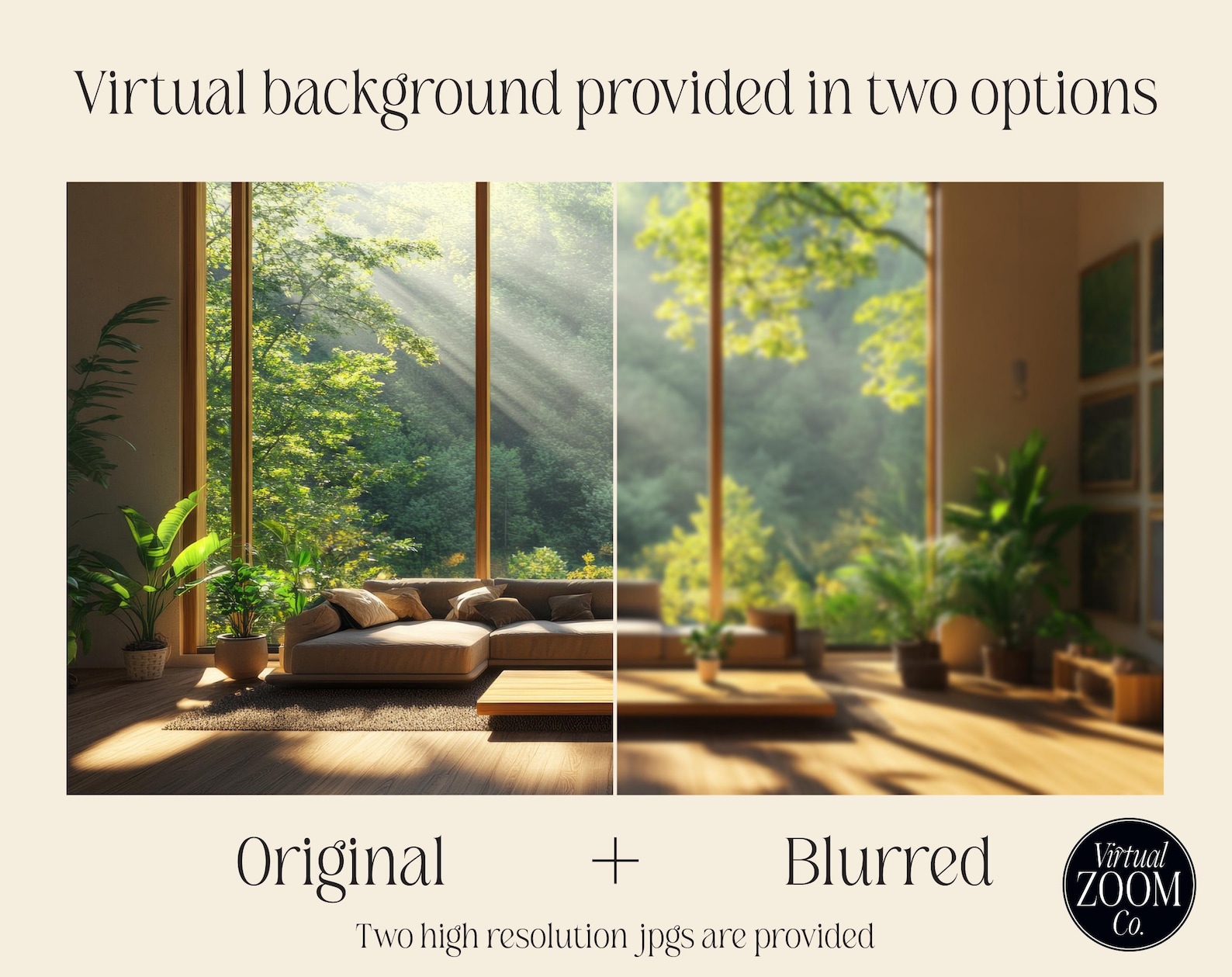 Zoom Background Indoor Plants Window Seat Zoom Office Window View Zoom ...