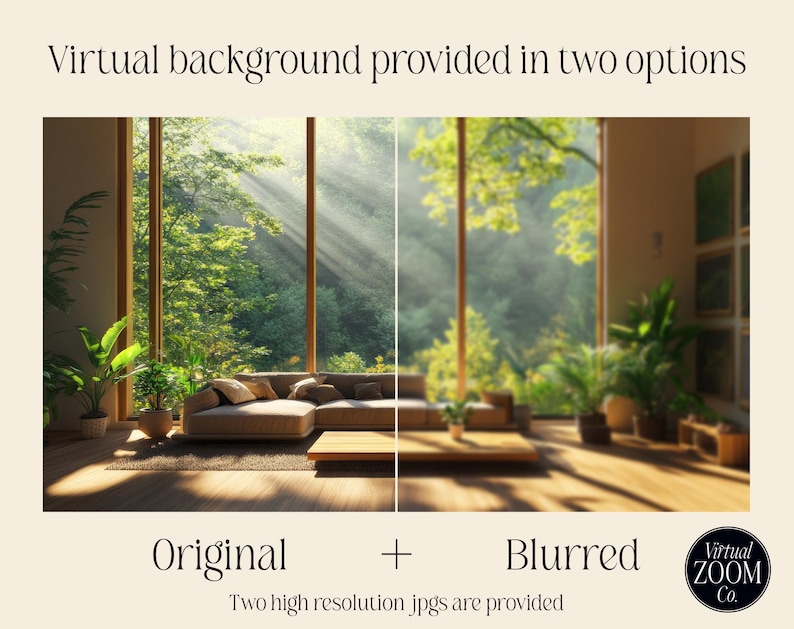 Zoom Background Indoor Plants Window Seat Zoom Office Window View Zoom ...