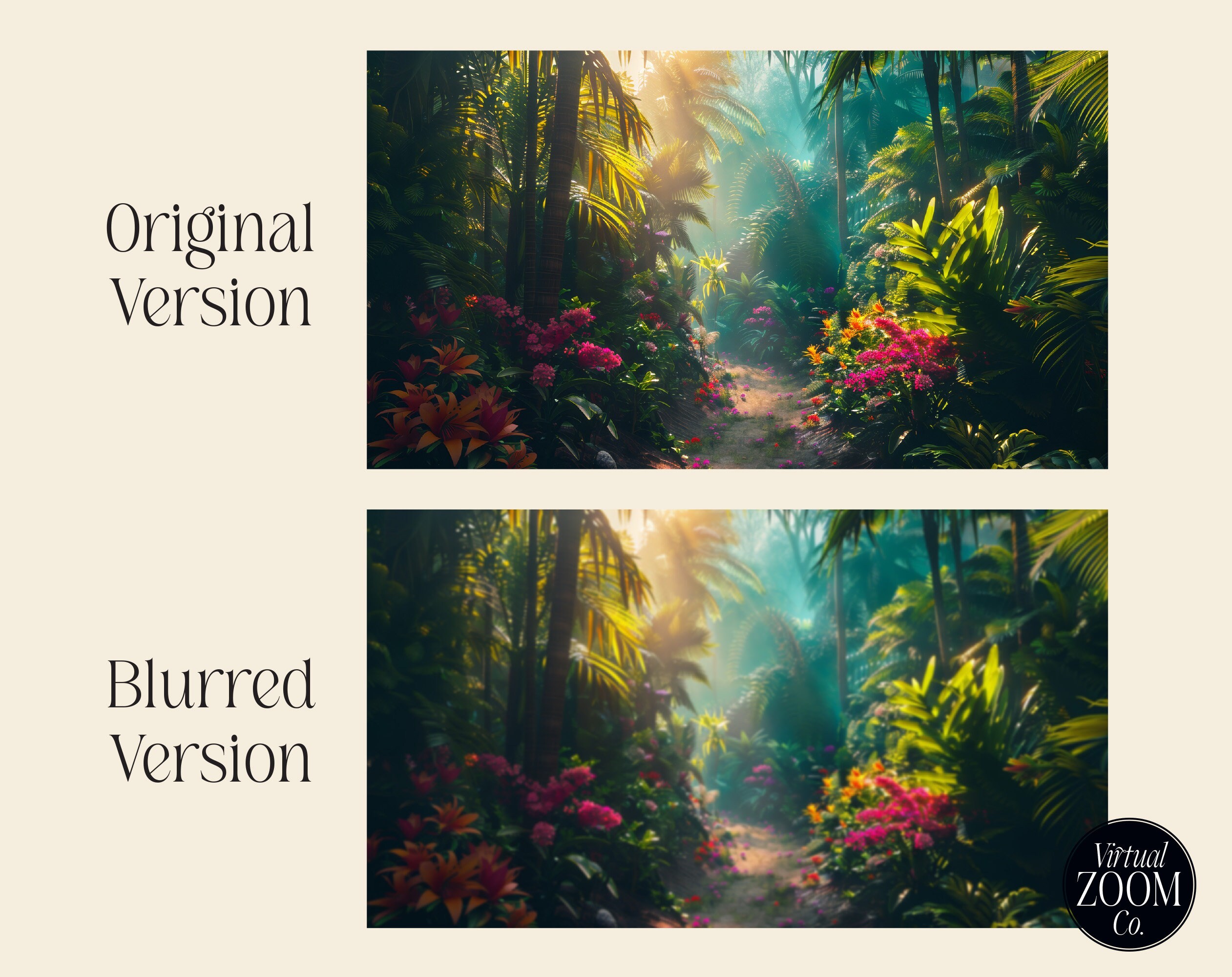 Zoom Background Nature Zoom Office Background Tropical Plants Zoom ...