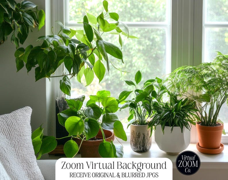 Zoom Background Plant Sunroom Professional Zoom Window View Background ...