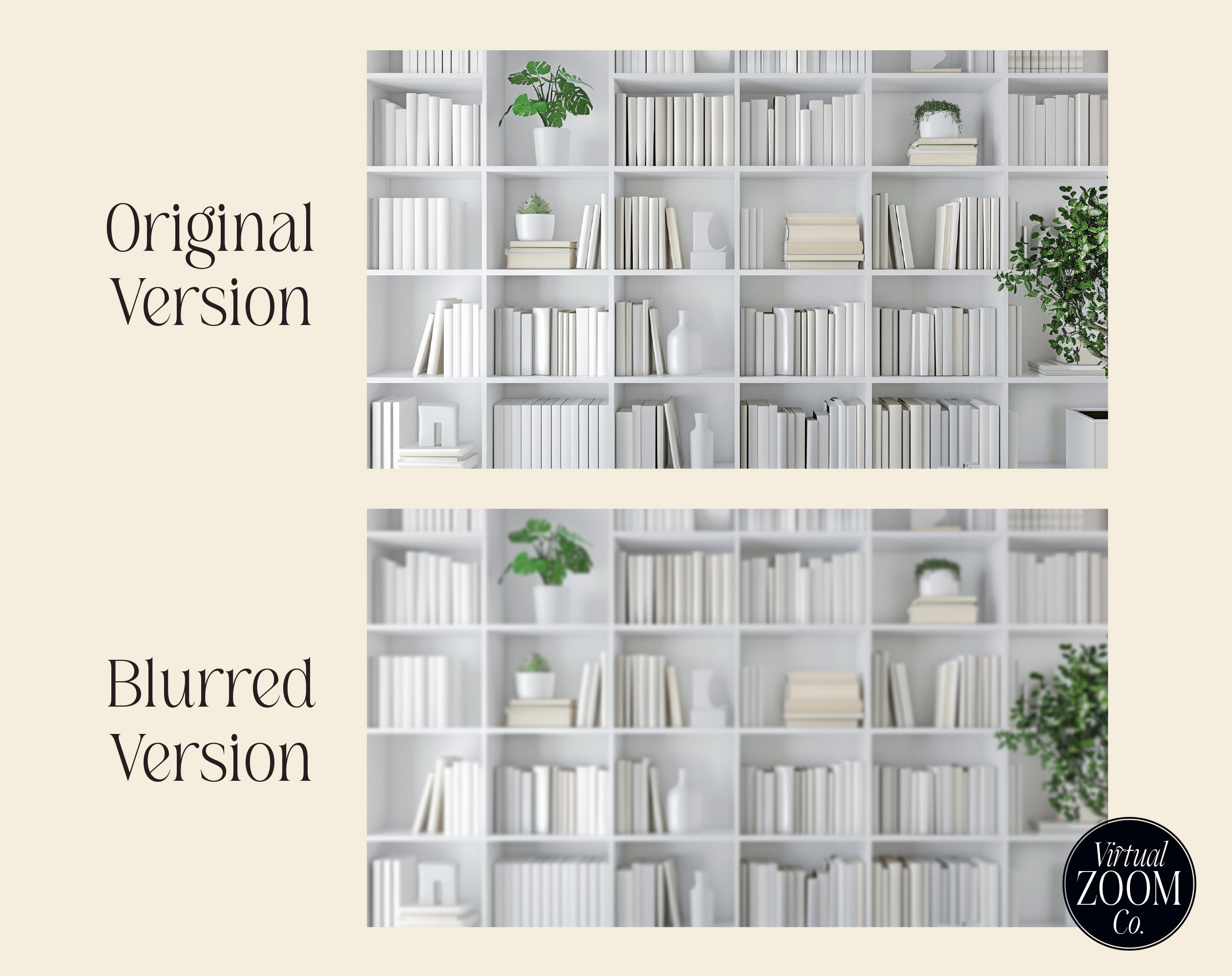 Zoom Background White Bookshelf With Plants Virtual Background ...