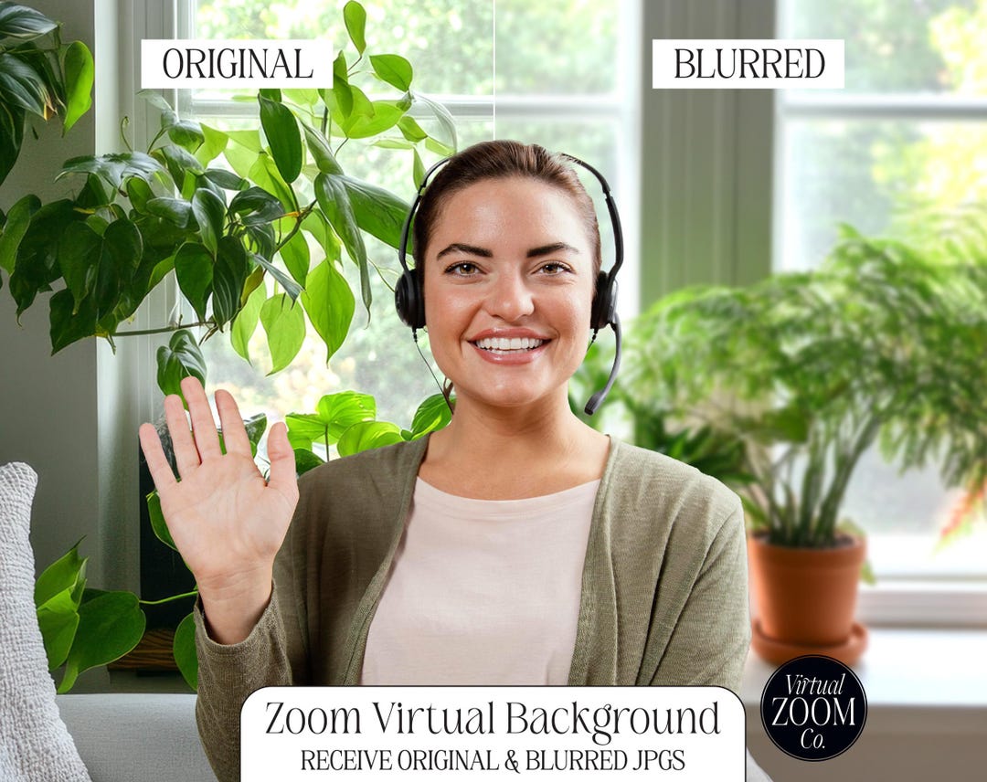 Zoom Background Plant Sunroom Professional Zoom Window View Background ...