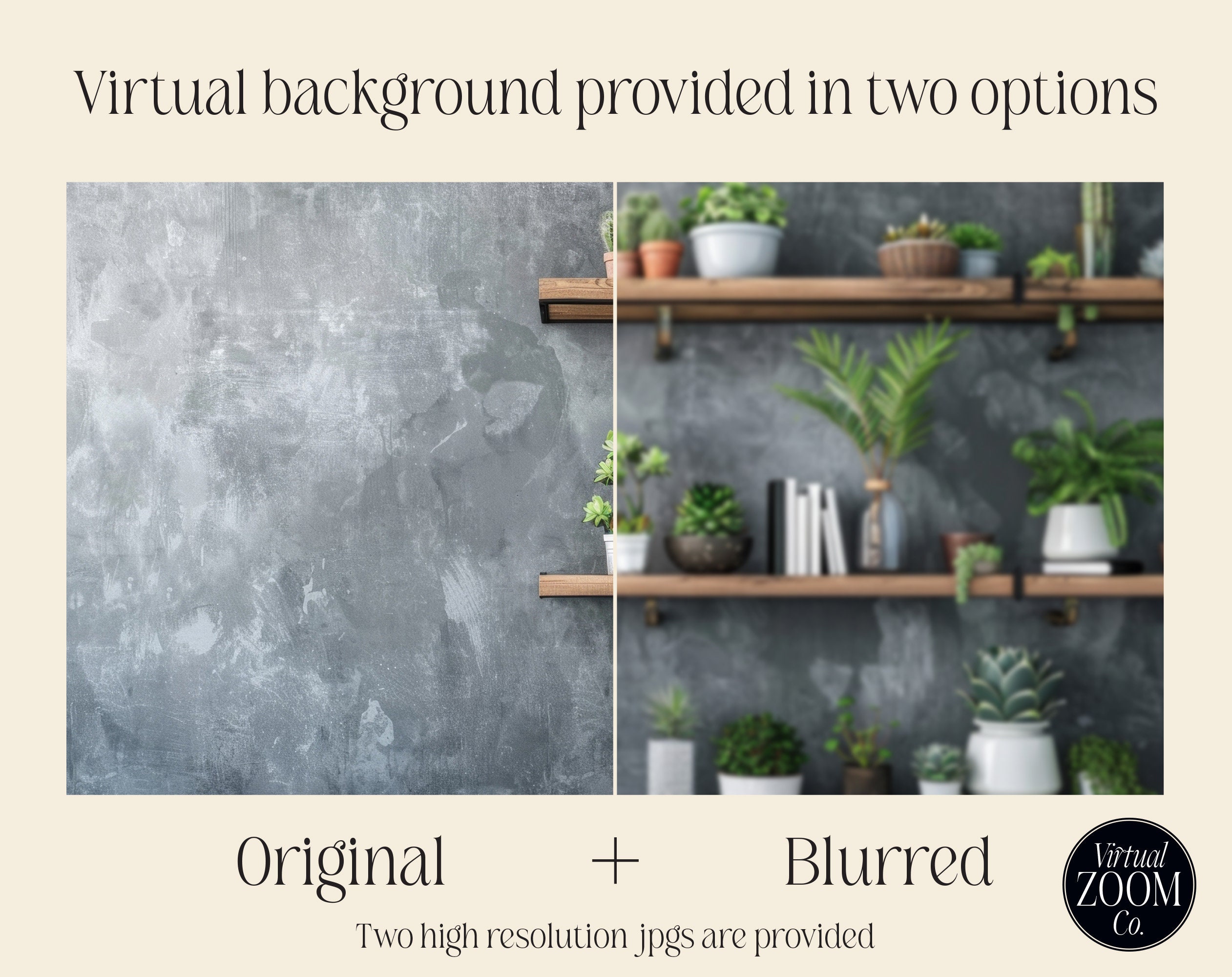 Zoom Background Indoor Plants Zoom Meeting Plants on Shelves Virtual ...