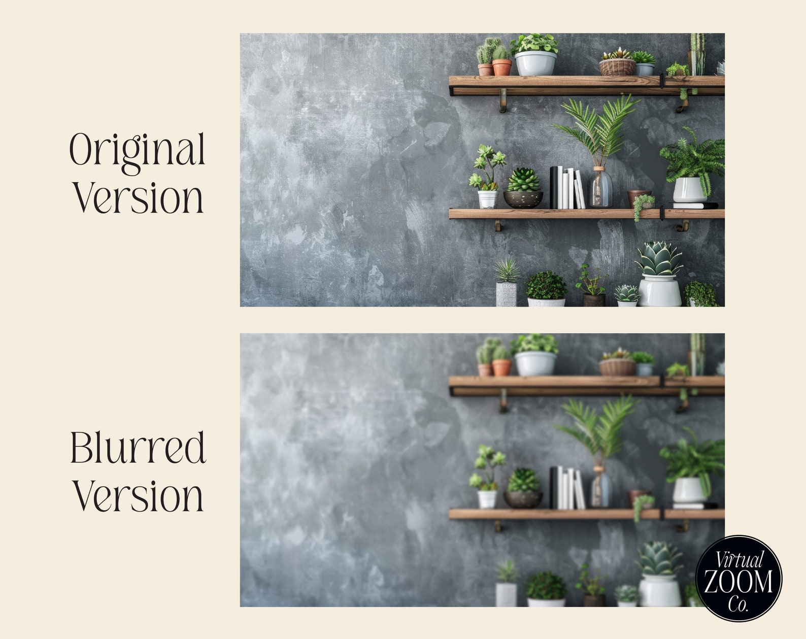 Zoom Background Indoor Plants Zoom Meeting Plants on Shelves Virtual ...
