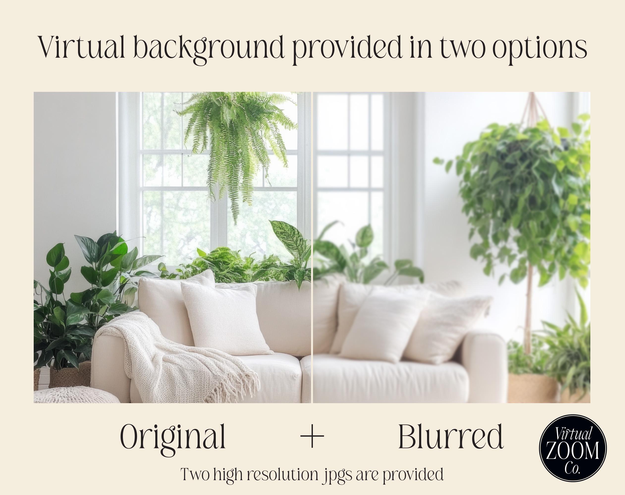 Zoom Background Plant Room Professional Zoom Window View Background ...