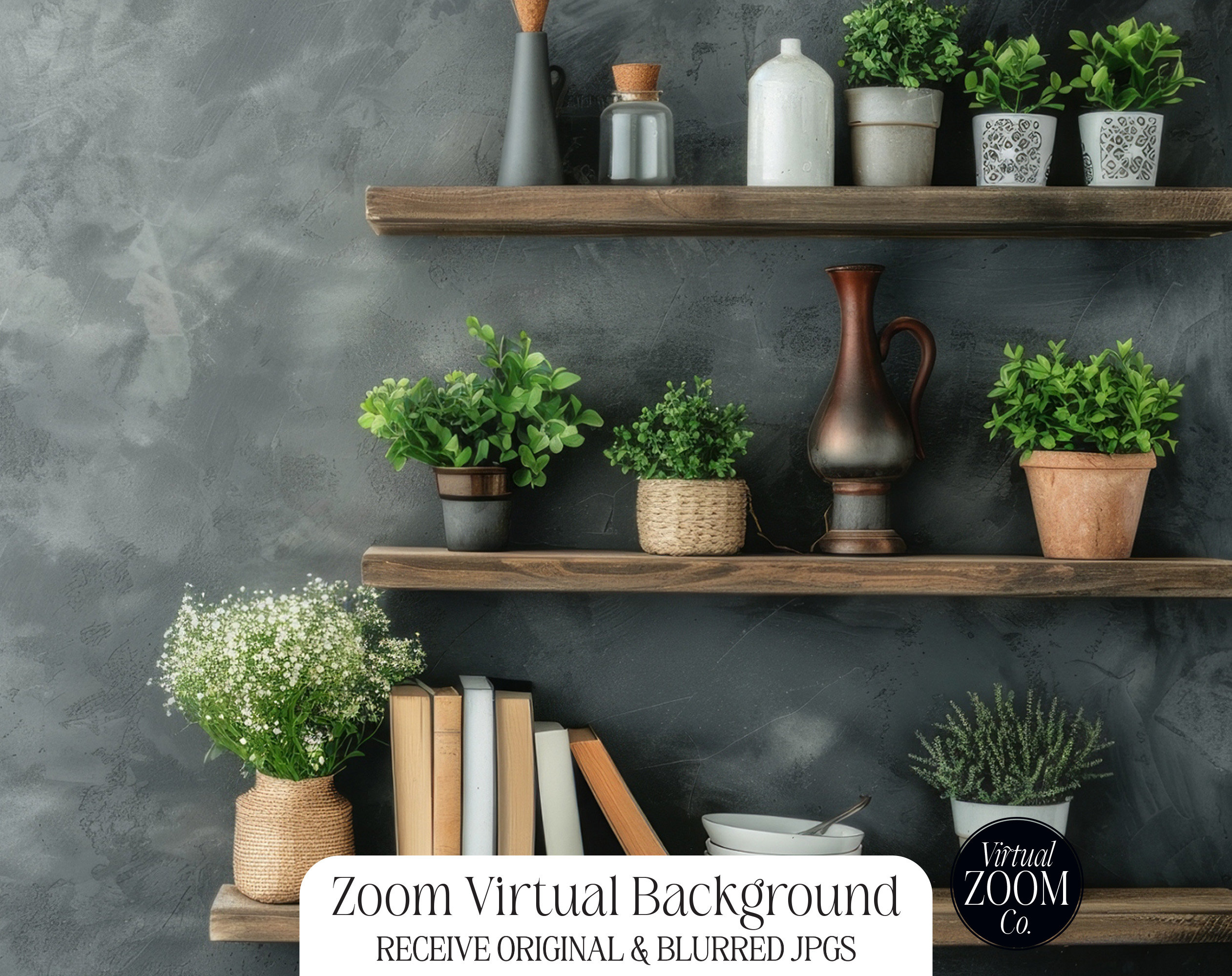 Zoom Background Indoor Plants Zoom Meeting Plants on Shelves Virtual ...