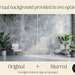 Zoom Background Concrete Wall With Plants Plant Background Wall Virtual ...