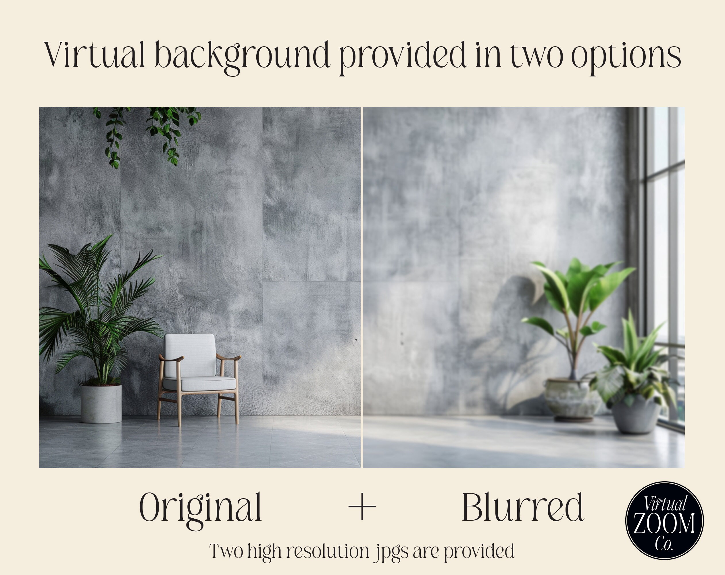 Zoom Background Concrete Wall With Plants Plant Background Wall Virtual ...