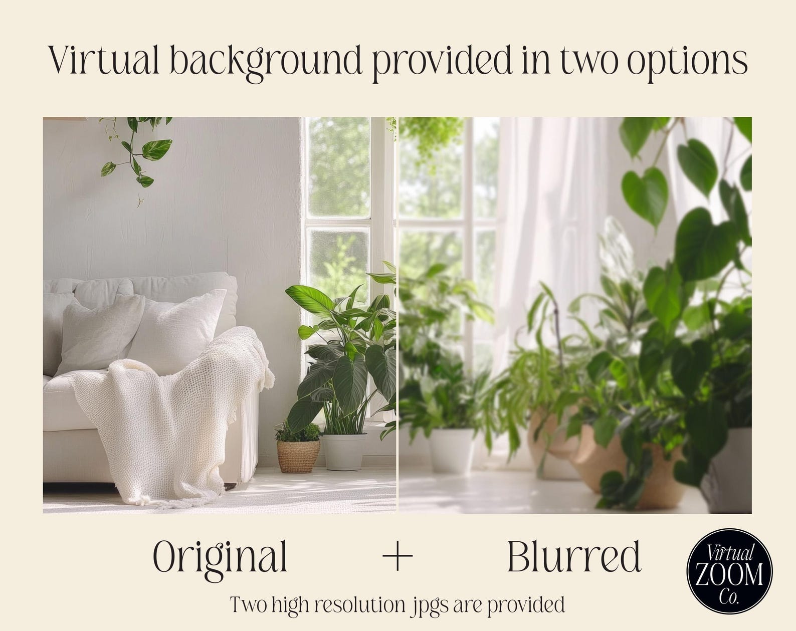 Zoom Background Plant Room Professional Zoom Window View Background ...