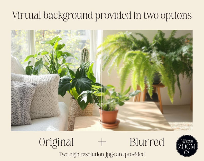 Zoom Background Plant Room Professional Zoom Window View Background ...