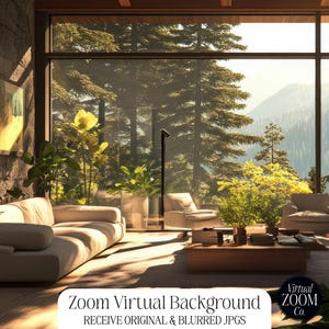 Zoom Background Indoor Plants Window Seat Zoom Office Window View Zoom ...