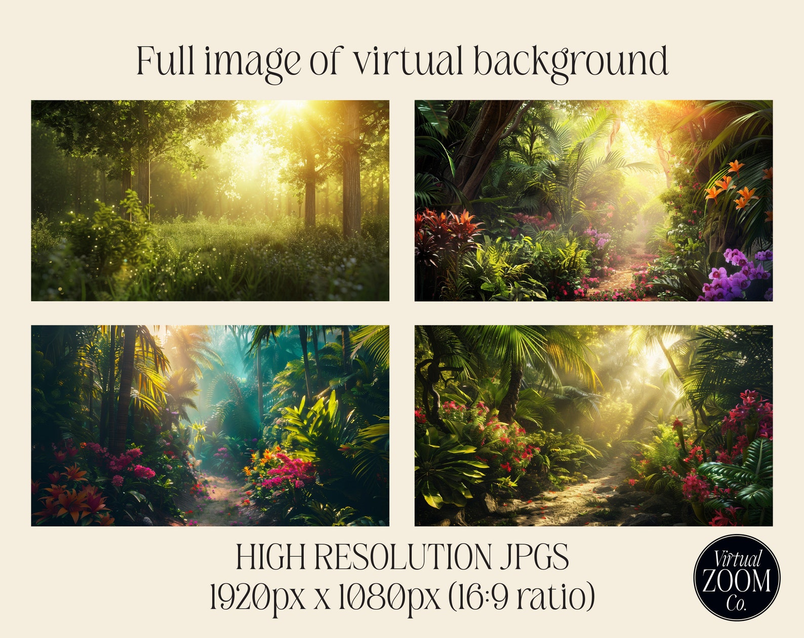 Zoom Background Nature Zoom Office Background Tropical Plants Zoom ...