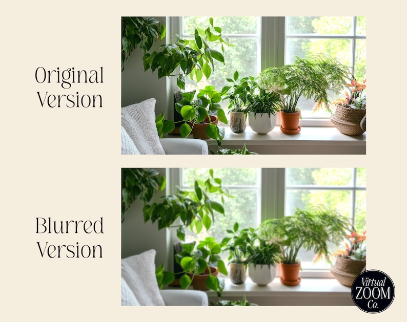 Zoom Background Plant Sunroom Professional Zoom Window View Background ...