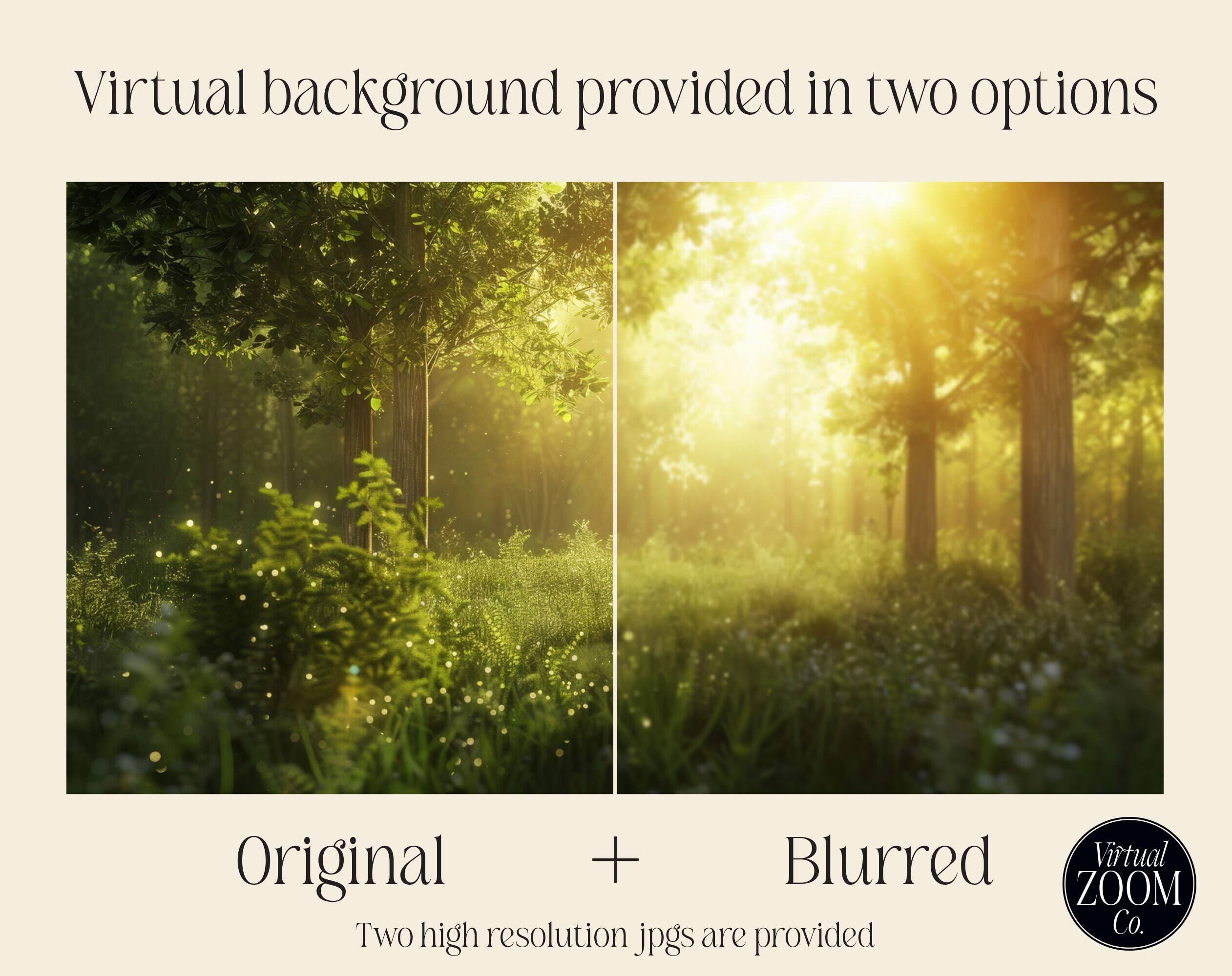 Zoom Background Nature Zoom Office Background Tropical Plants Zoom ...